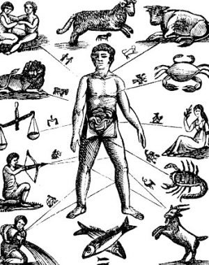 Astrological_Human_Body – Hermetic Academy Library
